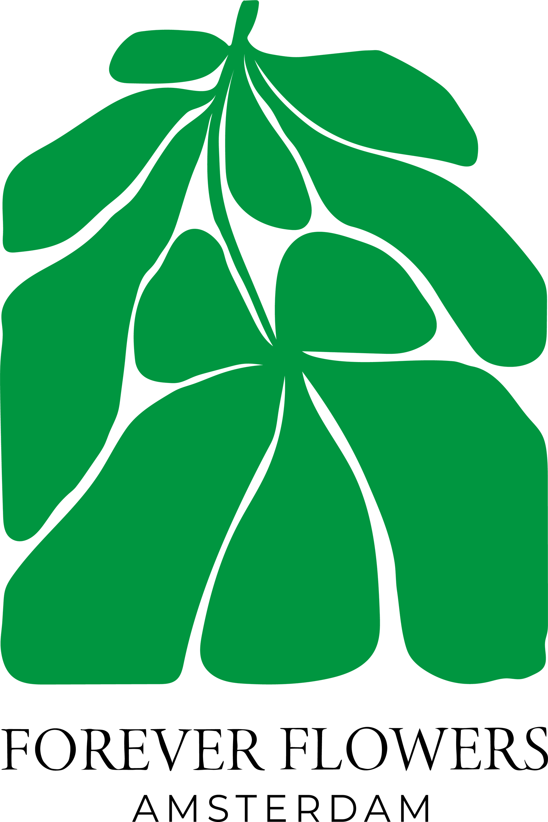 Forever Flowers Amsterdam